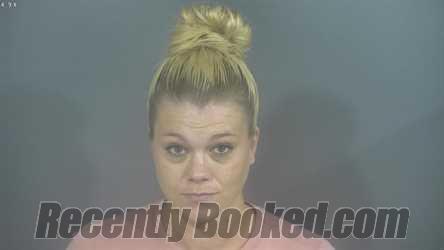 Recent Booking / Mugshot for CHELSEA ANN HENSEL in St Joseph County ...