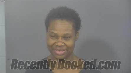Recent Booking / Mugshot for CHANTEL LASHAE JACKSON in St Joseph County ...