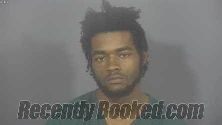 Recent Booking / Mugshot for CAMERON LAMAR WILLIAMS in St Joseph County ...