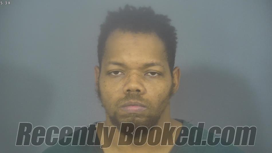 Recent Booking / Mugshot for DANGELO NMN BOYLAND in St Joseph County ...