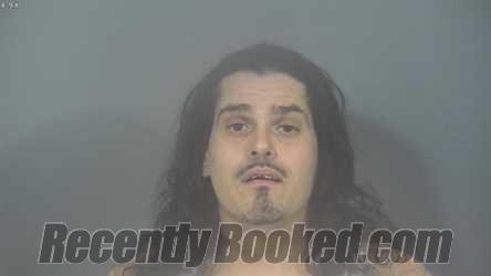 Recent Booking / Mugshot for DAVID GERALD CHIPPS in St Joseph County ...