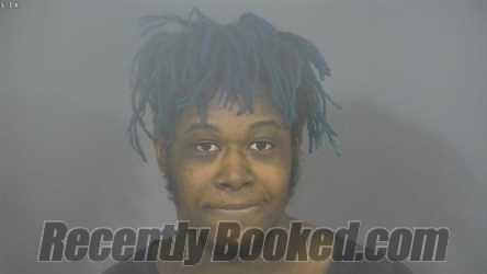 Recent Booking / Mugshot for DELFANTA JUAREZ GEORGE in St Joseph County ...