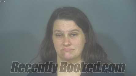 Recent Booking / Mugshot for DEBORAH JEAN REESE in St Joseph County ...