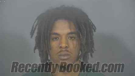 Recent Booking / Mugshot for HAVEN LEE FLEMING in St Joseph County, Indiana