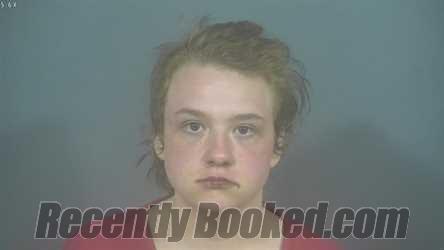 Recent Booking / Mugshot for HANNAH MCKINNEY in St Joseph County, Indiana