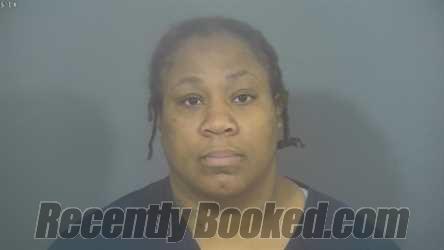 Recent Booking / Mugshot for JAMILLAH JIHAN FULTON in St Joseph County ...