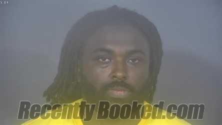 Recent Booking / Mugshot for JEFFERY ALLEN SHEPPARD in St Joseph County ...