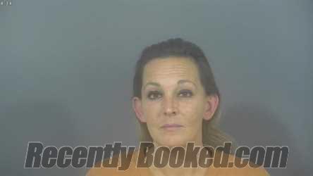 Recent Booking / Mugshot for JENNIFER NICOLE SAMOILIS in St Joseph ...