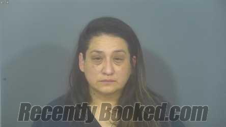 Recent Booking / Mugshot for JENNIFER ANN SALINAS in St Joseph County ...