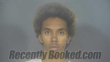 Recent Booking / Mugshot for KNOLL GRAHAM ELSWORTH in St Joseph County ...