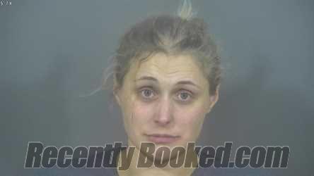 Recent Booking / Mugshot for LISA MARIE OVERMAN in St Joseph County ...