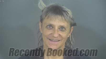Recent Booking / Mugshot for MARSHA ANN CAMERON in St Joseph County ...