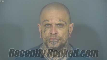 Recent Booking / Mugshot for MICHAEL ANTHONY CINELLI in St Joseph ...