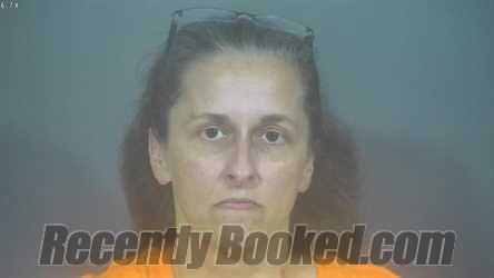 Recent Booking / Mugshot for MICHELLE RENEE KING in St Joseph County ...
