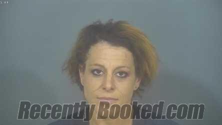 Recent Booking / Mugshot for MICHELLE ELIZIBETH PAWLAK in St Joseph ...