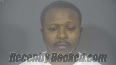 Recent Booking / Mugshot for ORLANDO DANAE MITCHELL in St Joseph County ...