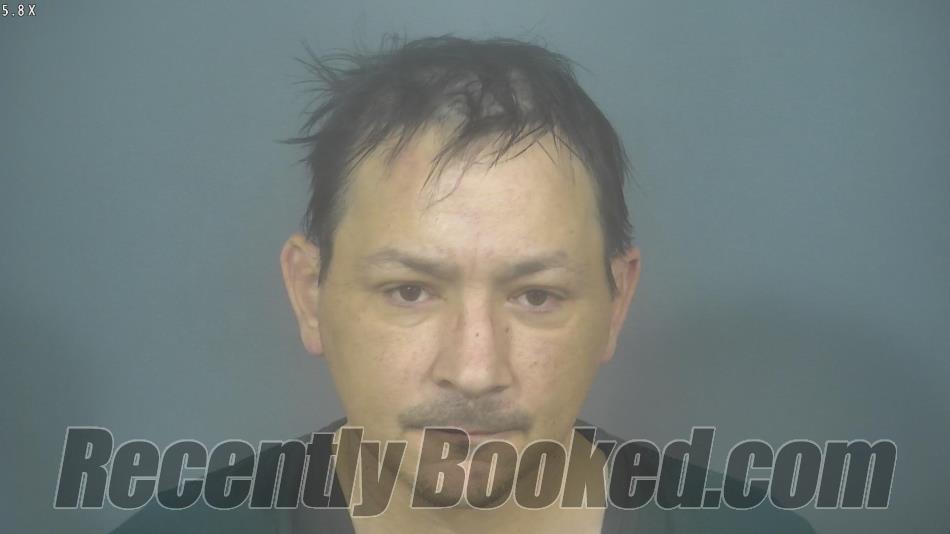 Recent Booking / Mugshot for PAUL NMN STACHOWSKI in St Joseph County ...