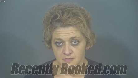 Recent Booking / Mugshot for RACHAEL DARLENE WITT in St Joseph County ...