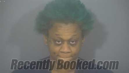 Recent Booking / Mugshot for SEQUENCELE DENISE GARRETT in St Joseph ...