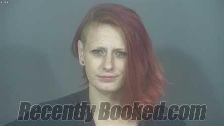 Recent Booking / Mugshot for SAVANNAH LYNN HOLT in St Joseph County ...