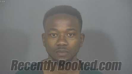 Recent Booking / Mugshot for STANLEY PACHALO MINJALE in St Joseph ...