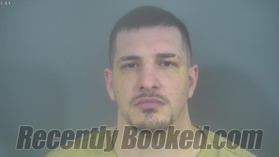 Recent Booking / Mugshot for TYLER JAY LEVITZ in St Joseph County, Indiana