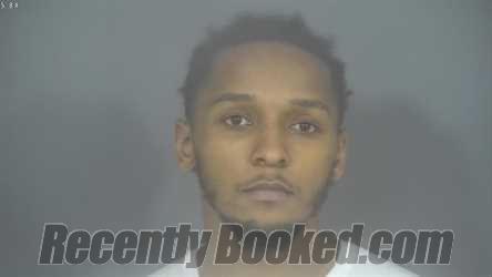 Recent Booking / Mugshot for ZIAHN MARIUS CHANEY in St Joseph County ...