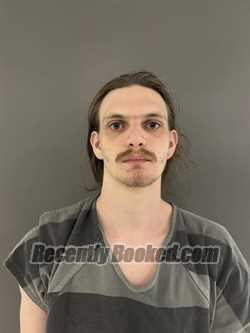 Recent Booking / Mugshot for ALEXANDER SETH HAMMER in Shelby County ...