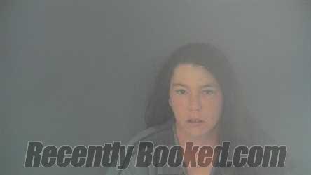 Recent Booking / Mugshot for CHRISTINE ANN WILLIAMS in Shelby County ...