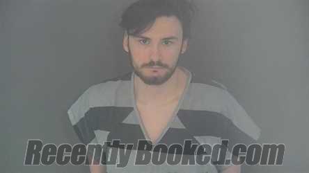 Recent Booking / Mugshot for ELIJAH MATTHEW CARMICHAEL in Shelby County ...