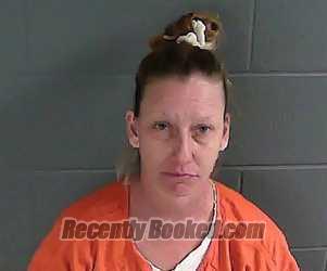 Recent Booking / Mugshot for DEBORAH J TINDLE in Spencer County, Indiana