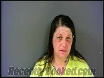 Recent Booking / Mugshot for AMY MARIE REESE in Starke County, Indiana