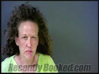 Recent Booking / Mugshot for LYNETTE ANN SCHLEMAN in Starke County, Indiana
