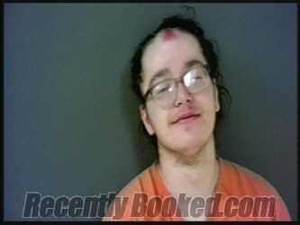 Recent Booking / Mugshot for NOLAN ISAAC ANDERSON in Starke County, Indiana