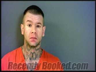 Recent Booking / Mugshot for RICKY ALLEN SNELLING in Starke County, Indiana