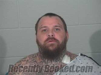 Recent Booking / Mugshot for TRAVIS JOSHUA FITCH in Steuben County, Indiana