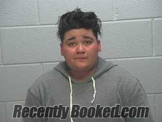 Recent Booking / Mugshot for ESPERANZA MARIE VILLAFANA in Steuben ...