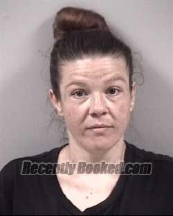 Recent Booking / Mugshot for MEGAN ELIZABETH ROBERSON in Johnston ...