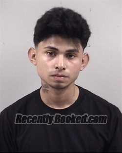 Recent Booking / Mugshot for MILTON JOHAN MARADIAGA RUZ in Johnston ...