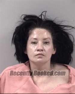HEATHER ELIZABETH HASSLER Arrest Record & Booking Info – Johnston ...