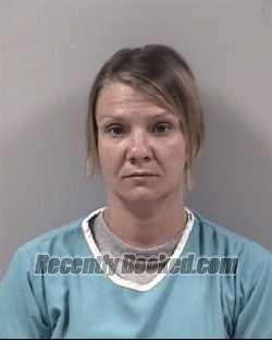 Recent Booking / Mugshot for DANIELLE MARIE SISSON in Johnston County ...