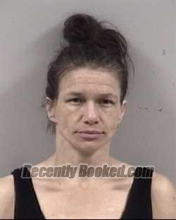 Recent Booking / Mugshot for ASHLEY NICHOLE YEAGER in Johnston County ...