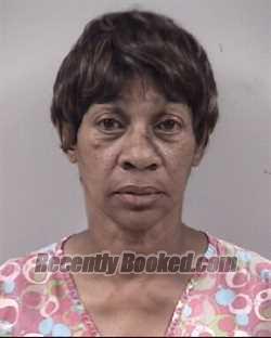 Recent Booking / Mugshot for MARY ANN RUFFIN in Johnston County, North ...