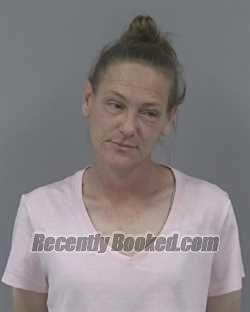 Recent Booking / Mugshot for RACHEL ANN GODWIN in Johnston County ...