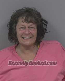 Recent Booking / Mugshot for APRIL MICHELLE ADKINS in Johnston County ...