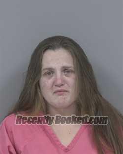 Recent Booking / Mugshot for MANDY LOUISE ALLAN in Johnston County ...