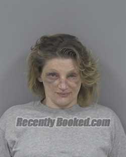 Recent Booking / Mugshot for ANGELINA KEATH CARLSON in Johnston County ...