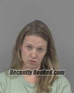 Recent Booking / Mugshot for MICHELLE EVANS CRIBB in Johnston County ...