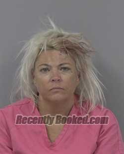 Recent Booking / Mugshot for MISTY KAY HINTON in Johnston County, North ...