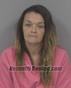 Recent Booking / Mugshot for AMY NICOLE LAYAOU in Johnston County ...